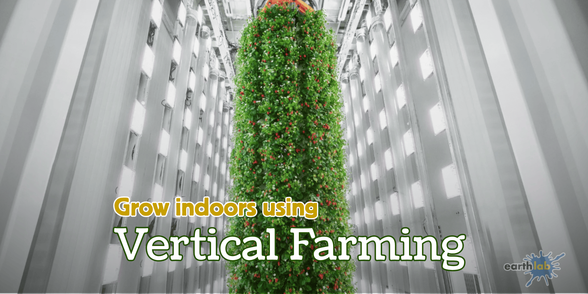 Grow Indoors using Vertical Farming | Earth Lab Inc.